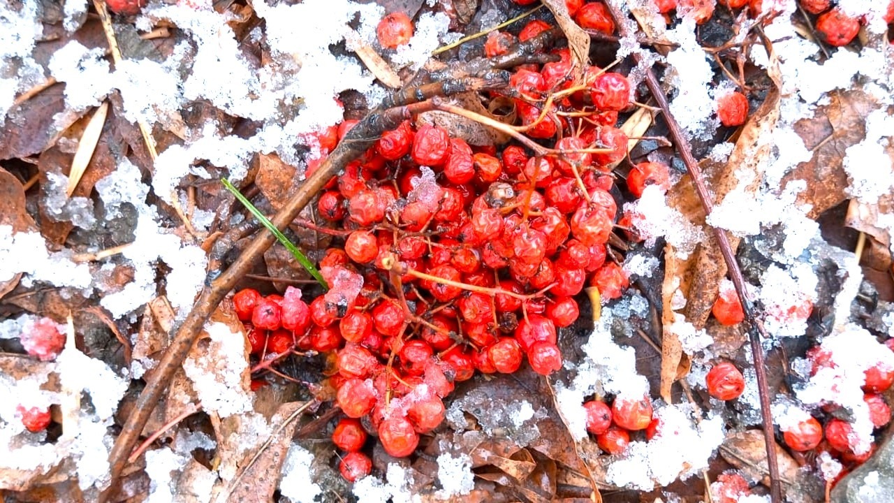 Жителей Башкирии этой зимой ждут новые погодные аномалии
